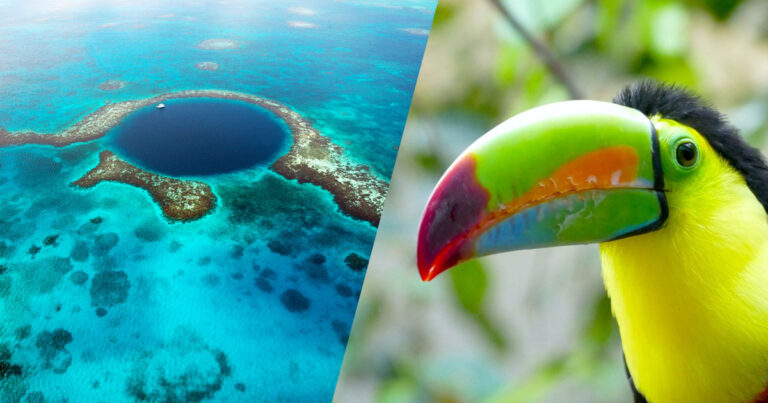Moving to Belize as a Foreigner: Essential Tips for Expats