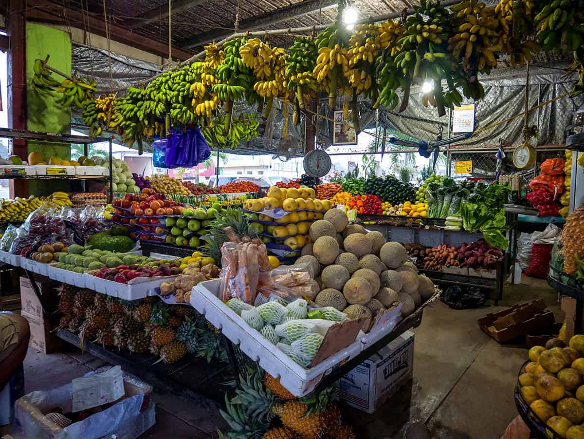Moving to Belize as a Foreigner: Essential Tips for Expats